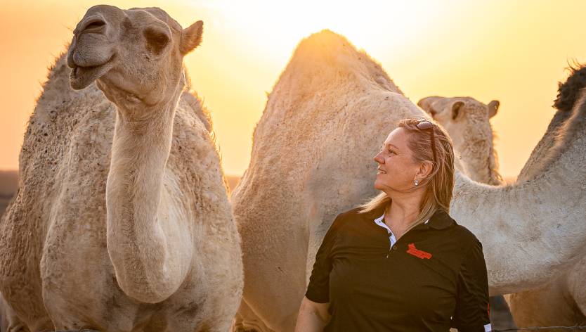 Deployment Support | CFMWS